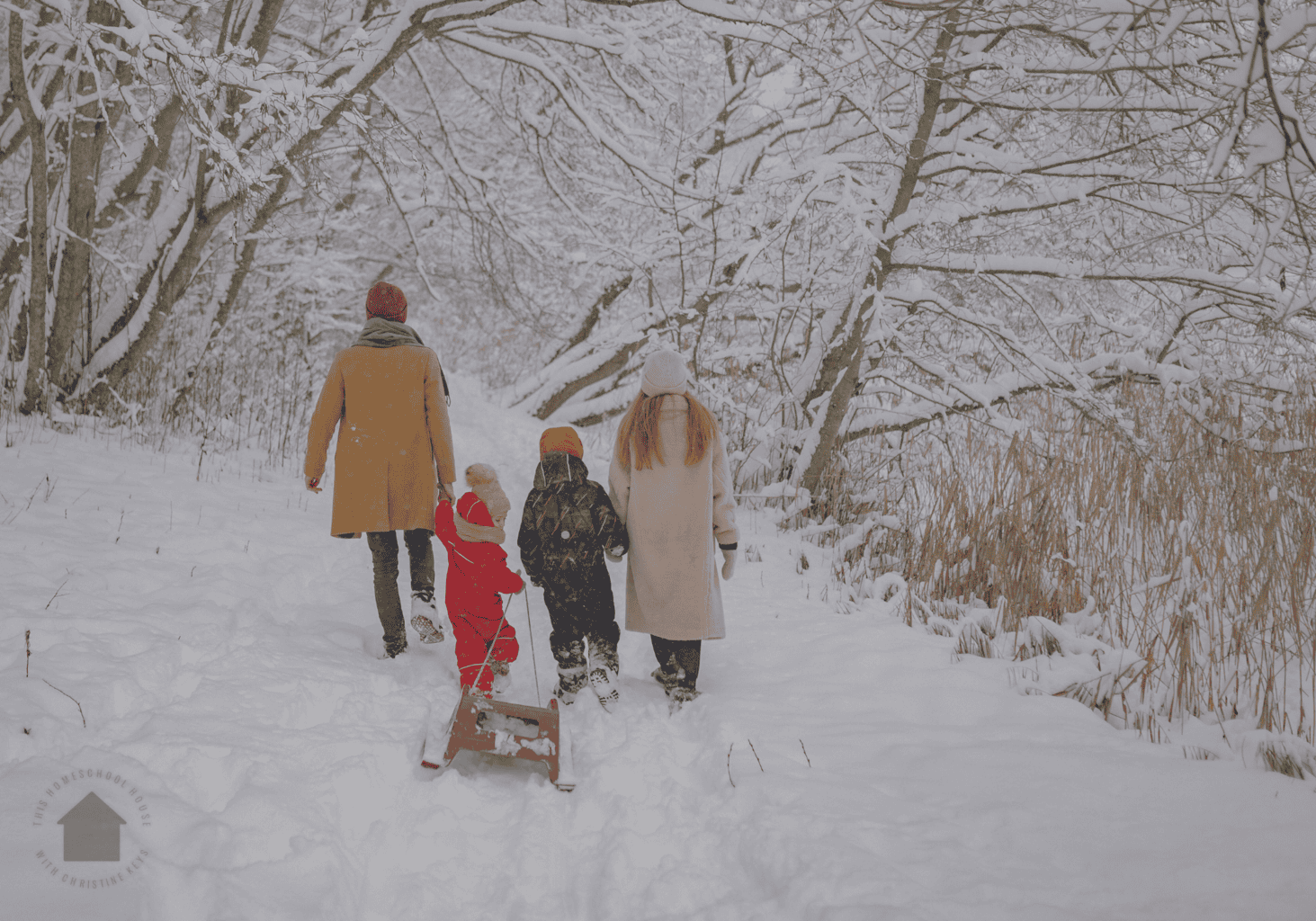 12 Christmas Nature Walk Ideas for Your Homeschool — This Homeschool House